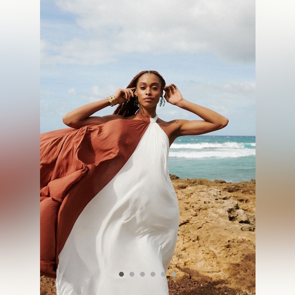 Anthropologie | Dresses | Anthropologie Brown And White Midi Dress ...